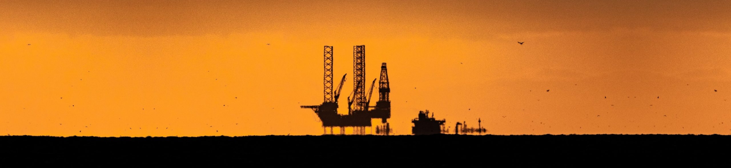 Decus | Energy & Marine